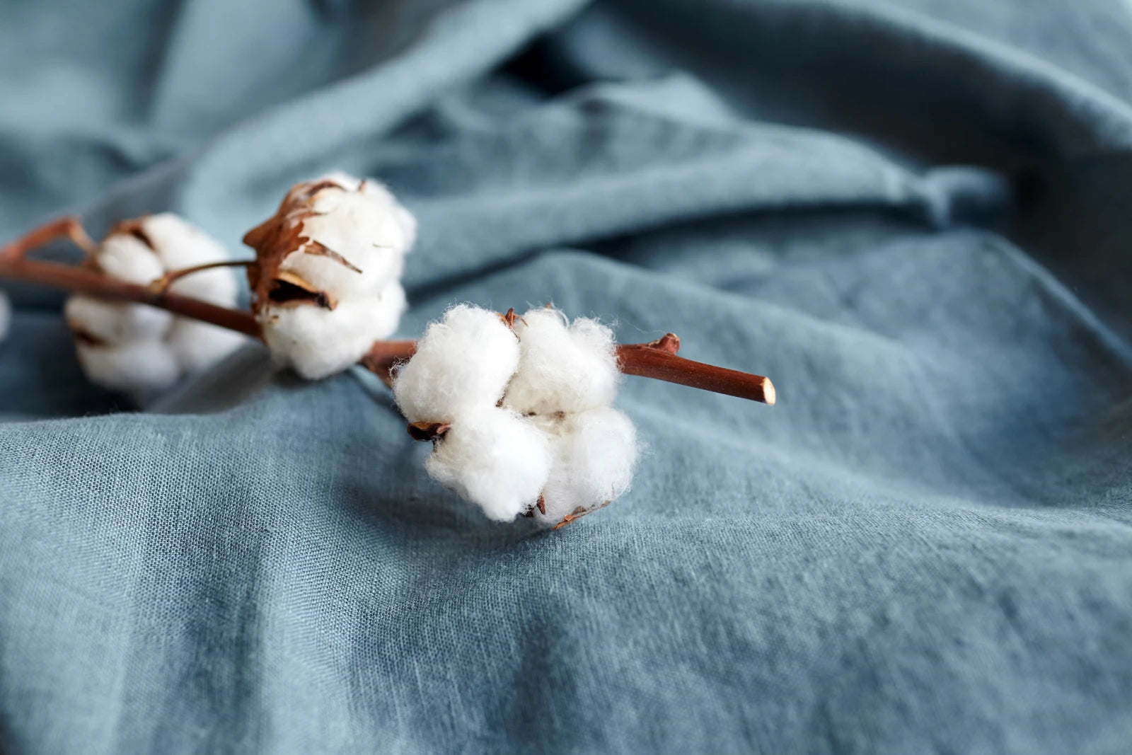 Power of Sustainable Fashion of Pure Natural Cotton Clothes – Kuteera